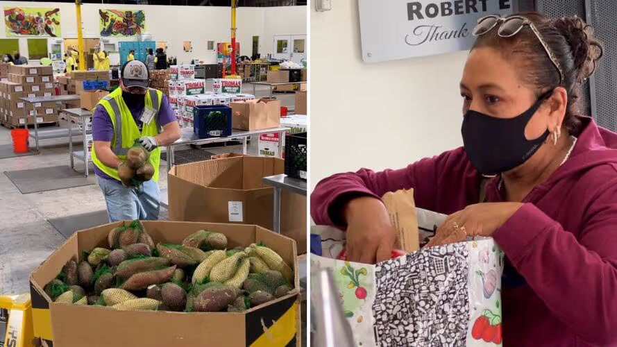El Banco de Alimentos del Área de Tarrant realiza distribución de ...