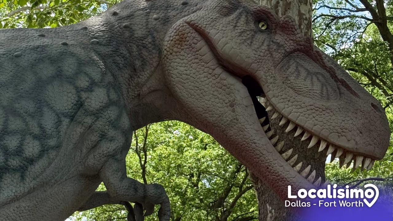 Dinosaurios gigantes en McKinney: exhibición familiar en el Heard ...