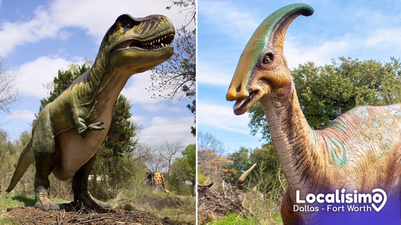 Viaja en el tiempo en el Zoológico de Dallas: Celebración del Día ...