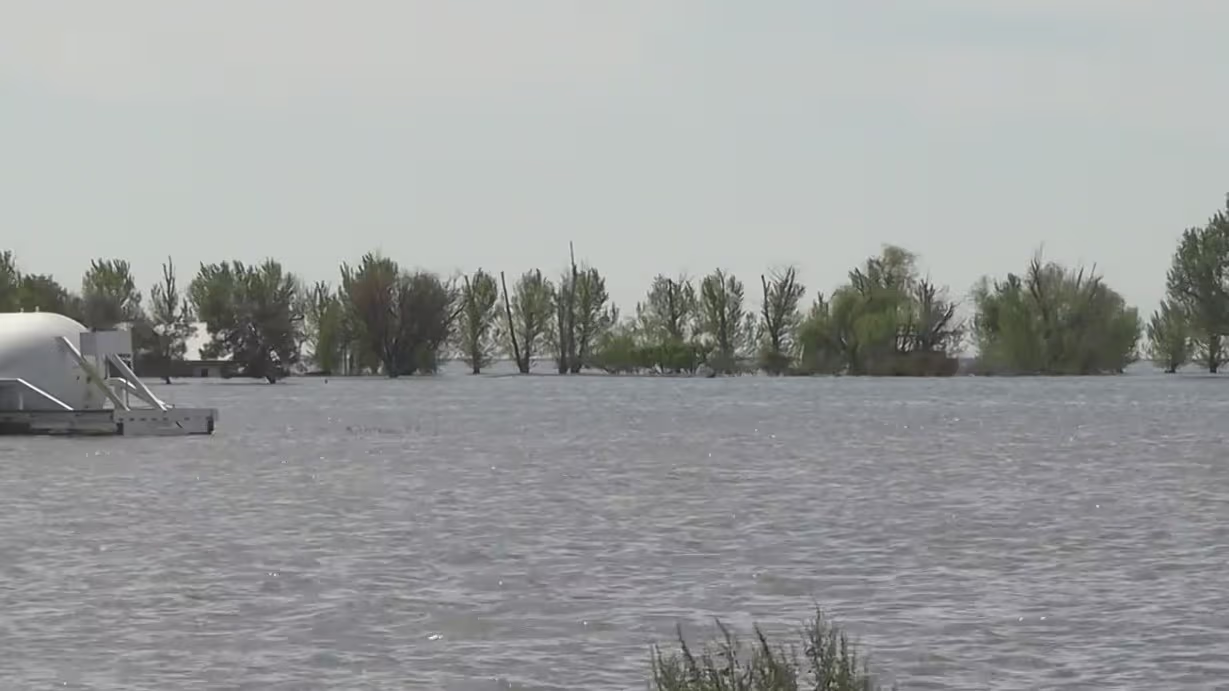 El renacimiento del Lago Tulare es calificado como “histórico” | Video ...
