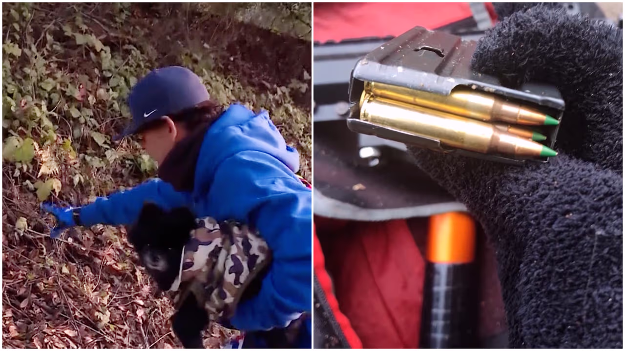 Perro descubre una mochila con arma y municiones cerca de la ...