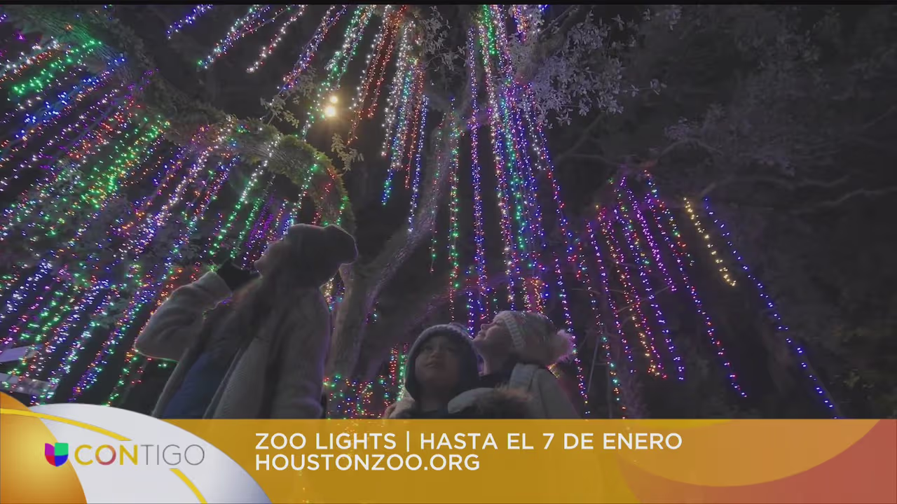 Actividades divertidas en nuestra ciudad para celebrar la temporada ...
