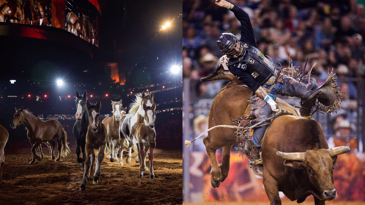 El Rodeo Houston endurece su reglamento para reforzar la seguridad ...