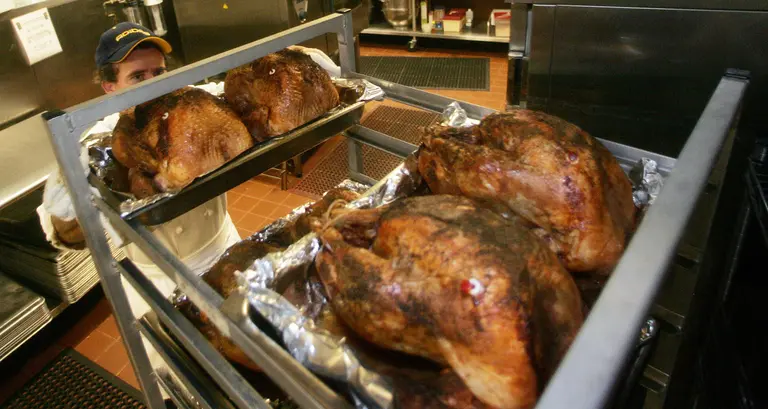 ¿Se debe o no lavar el pavo durante Acción de Gracias?: Un chef te ...