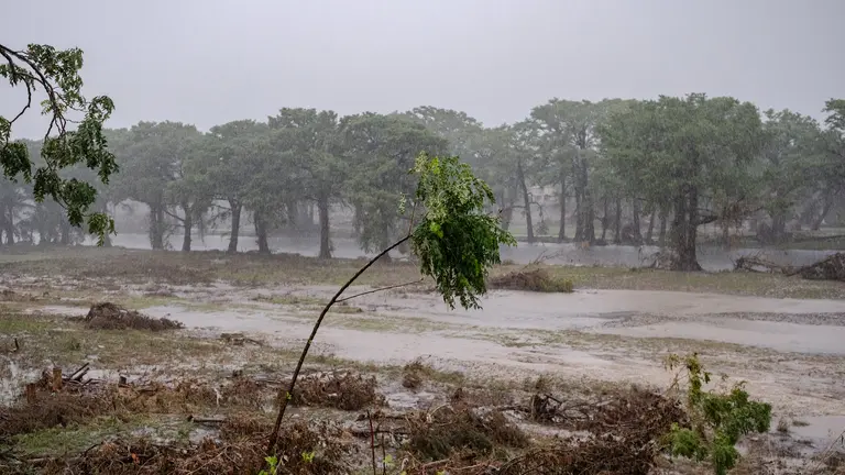 Tragedia en Texas: operativos de búsqueda fueron detenidos en Kerr por ...