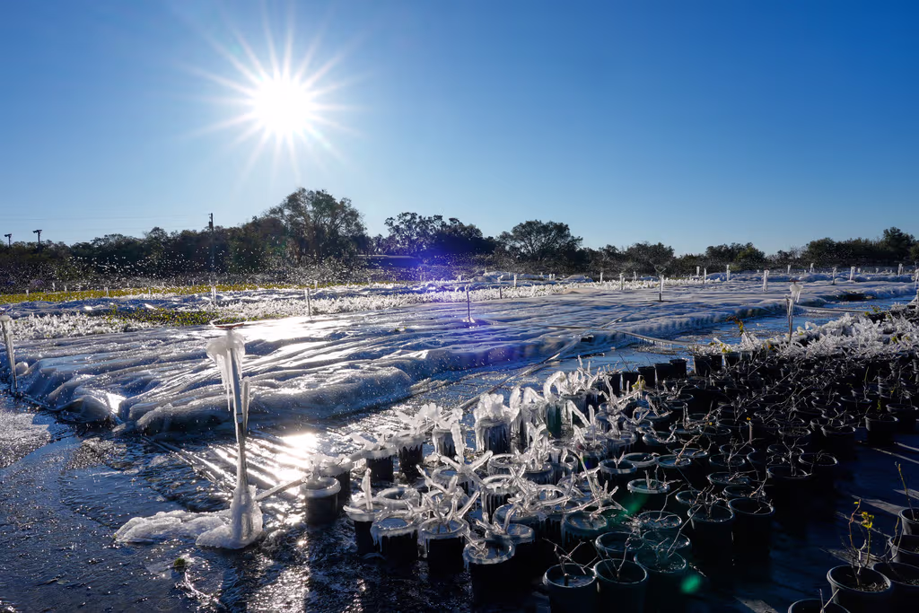 Florida Colder Than Parts of Alaska: An Unusual Weather Phenomenon ...
