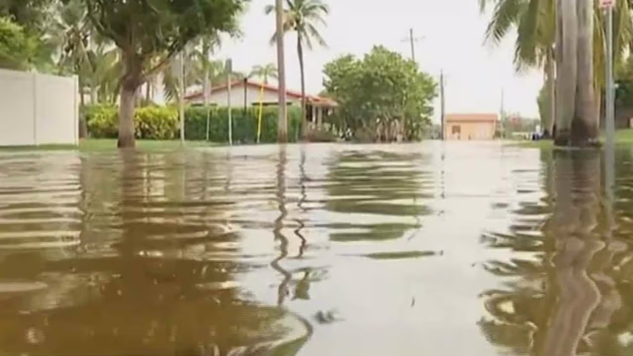 Inundaciones severas en el condado de Broward: el agua llega a la mitad ...