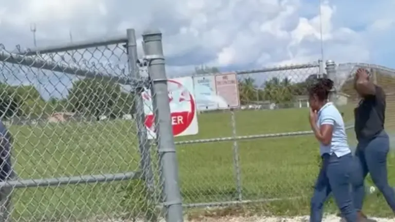 Mujer de 71 años murió tras ser atacada por una manada de perros en Miami Gardens | Video ...