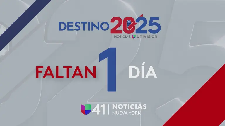 Concluye la votación anticipada en NYC con más de 730 mil votos | Video ...