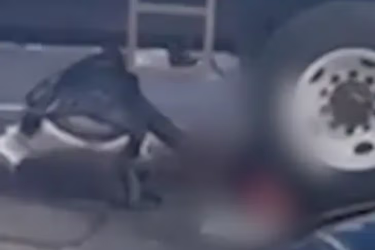 Ladrón hace robo de cartera a víctima a muerte de atropellamiento en ...