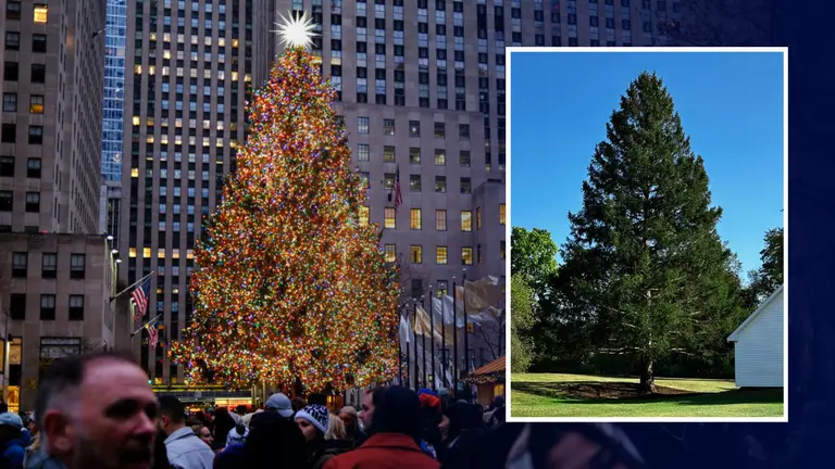 Árbol de Navidad Rockefeller Center 2025: abeto noruego de East ...