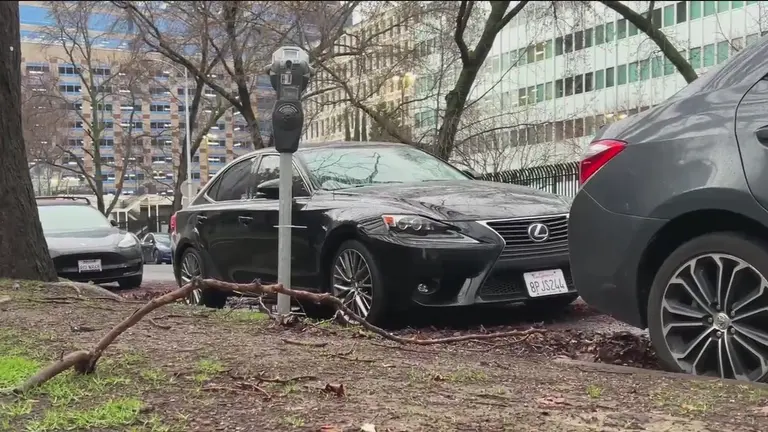 Así puedes reclamar por daños de las tormentas en tus propiedades ...