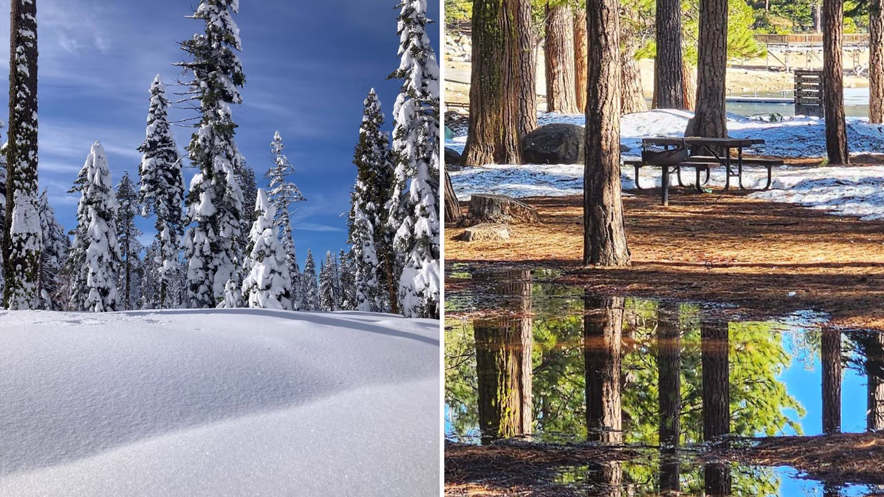 La primavera derrite la nieve en los bosques del norte de California ...