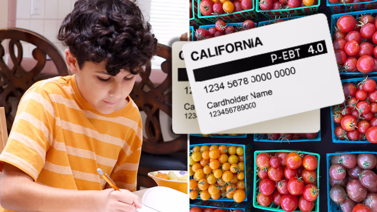 Tarjeta P-EBT 4.0: en septiembre llega los últimos envíos a familias en ...