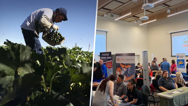 Consulado de México en Salt Lake City ofrece apoyo a trabajadores ...