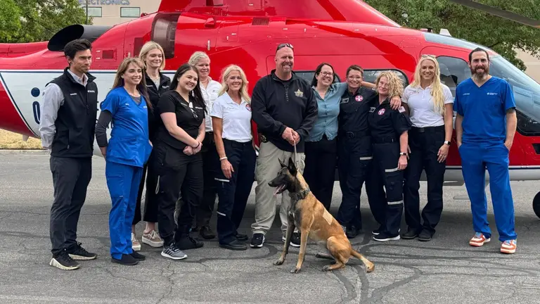 Dan de alta a Azula, K-9 que resultó herida en el tiroteo en que ...