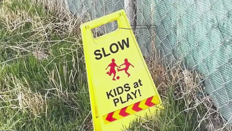 Nereida Miranda: Muere niña de 3 años tras ser atropellada afuera de su ...