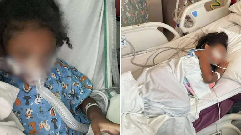 Leyes en Texas: SB12 causa confusión y pone en riesgo la vida de una ...