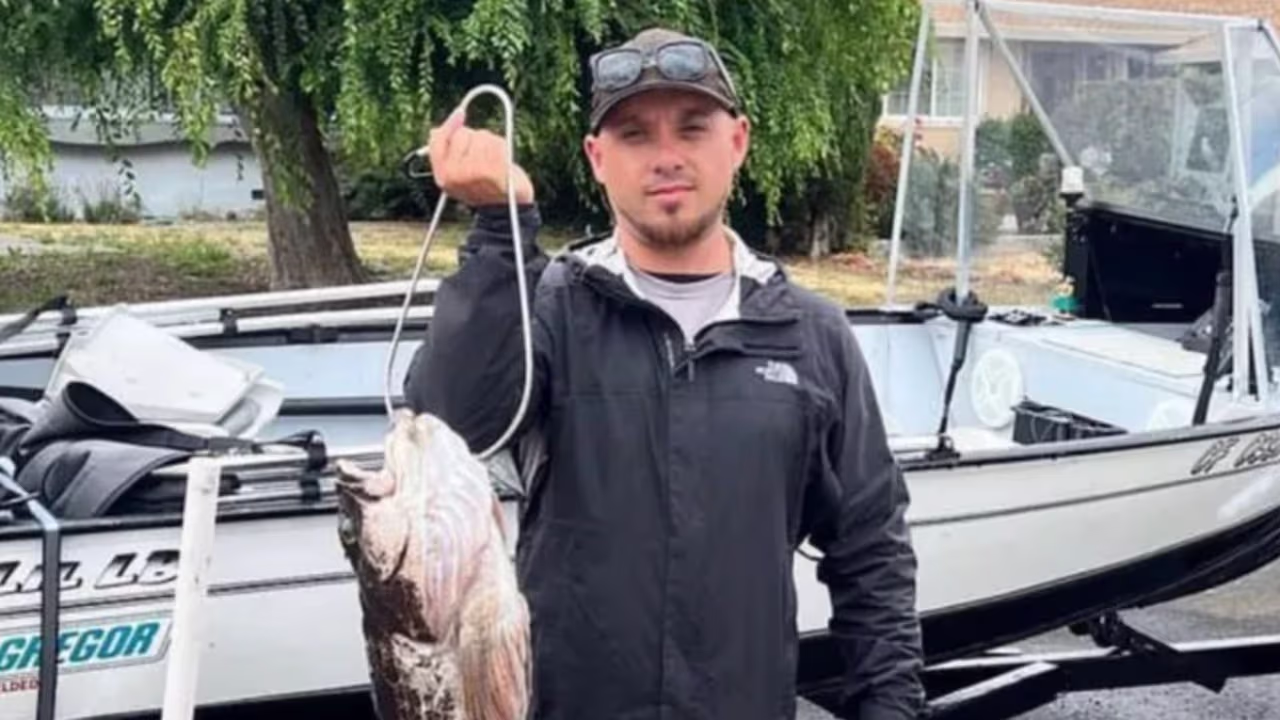 Will Chebib: el pescador de Petaluma desaparecido es hallado muerto en ...