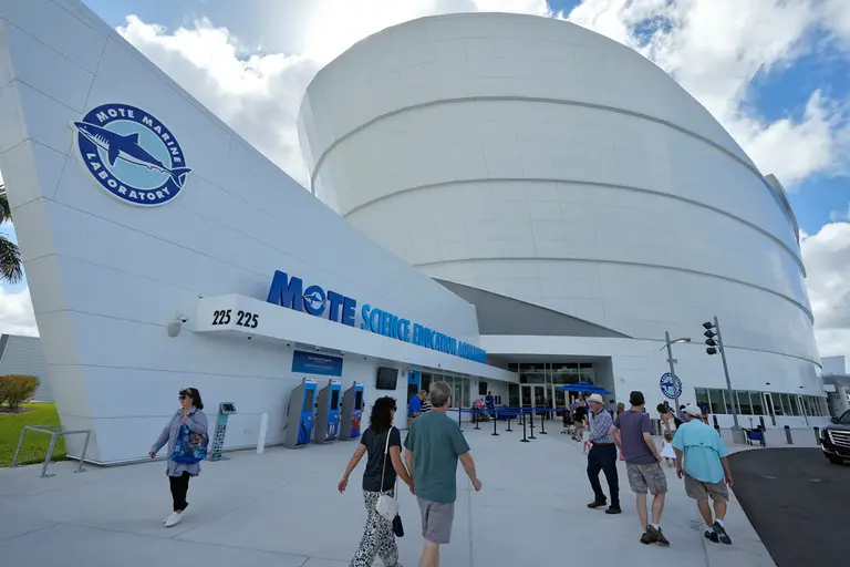 Nuevo acuario Mote SEA abre sus puertas con hábitats auténticos y ...