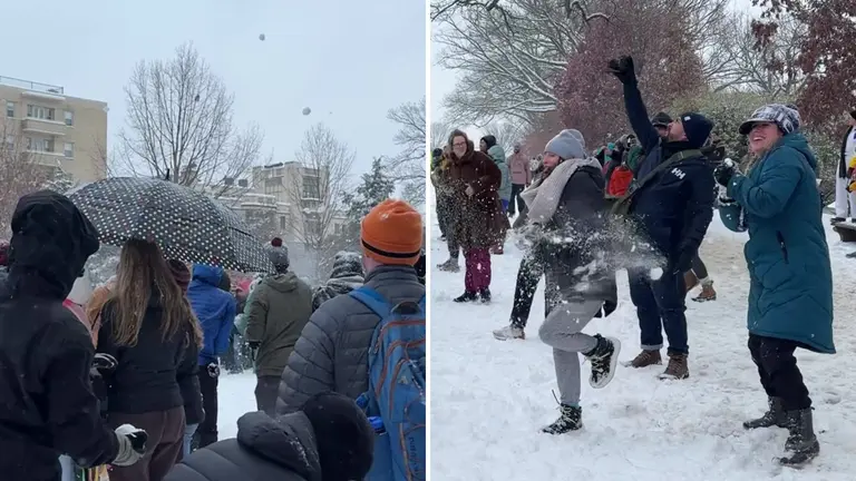 Se arma batalla campal con bolas de nieve: familias salen a disfrutar ...