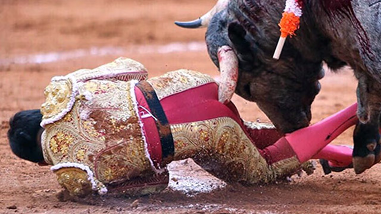 La impresionante cornada al torero mexicano Antonio Romero que le ...