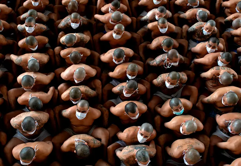 Guerra de Bukele contra las pandillas: detenidos serán procesados en ...