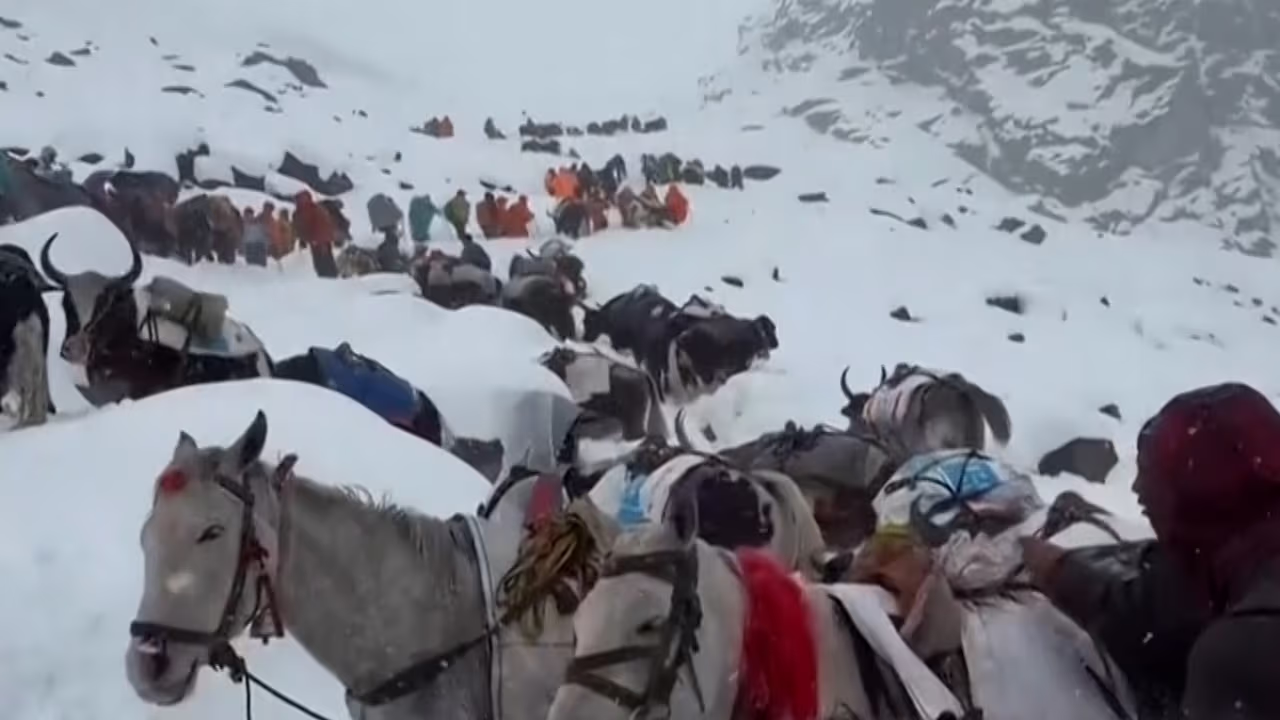 Buscan a cientos de excursionistas que quedaron varados en el monte ...