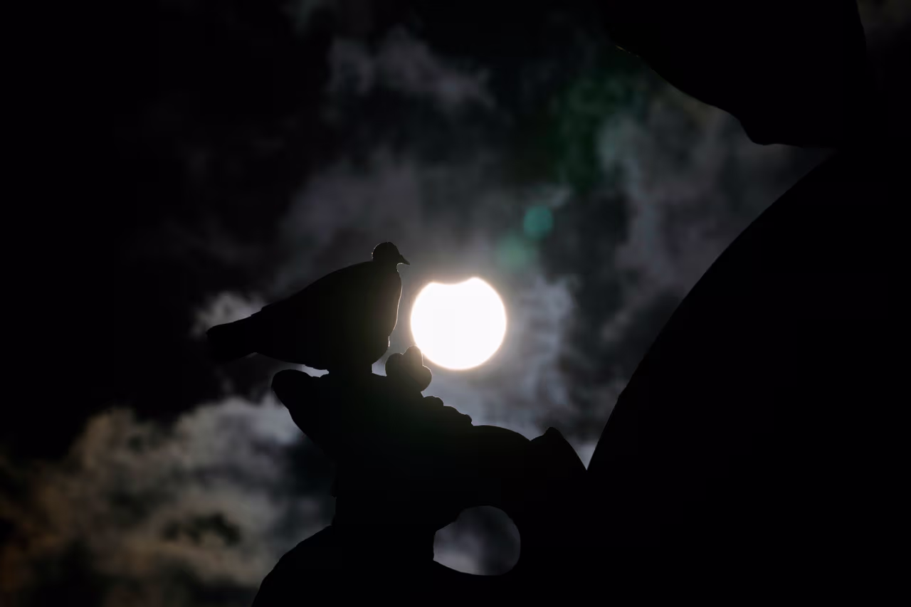 Eclipse solar anular hoy 17 de febrero 2026: Así se vio en vivo el ...