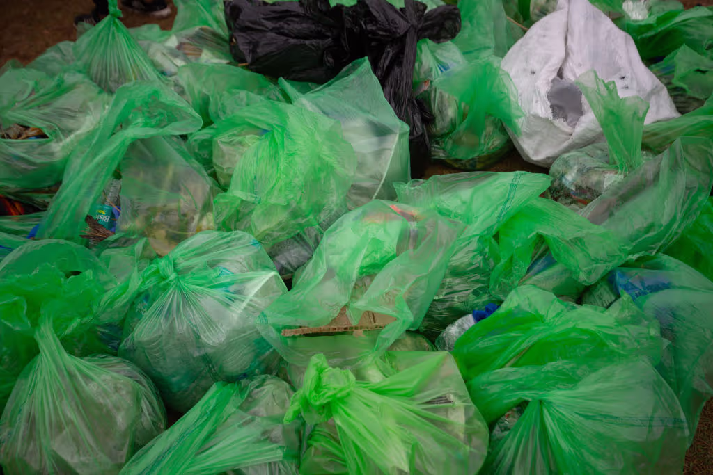 Por qué California aprobó ahora la ley que prohíbe todas las bolsas de ...