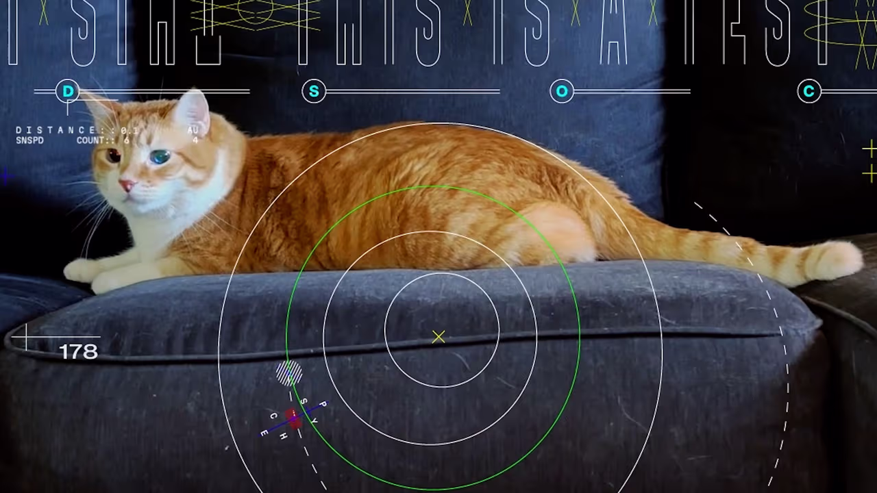 ¿Por qué este video de un gato marcó un hito histórico para la NASA y ...