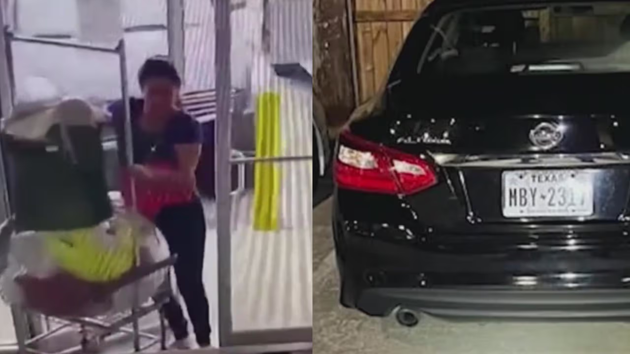 Las pistas que rodean la desaparición de Elsa Murillo, una madre ...