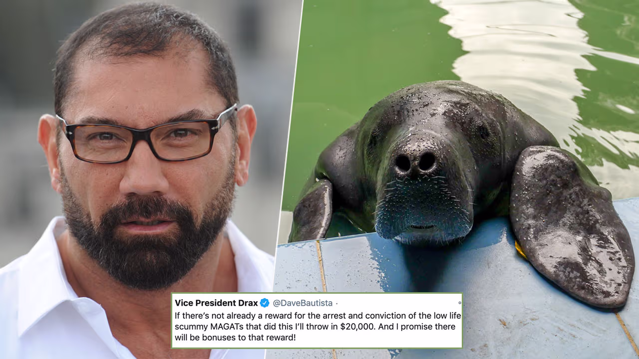 Dave Bautista ofrece $20,000 para dar con los responsables de ‘tallar ...