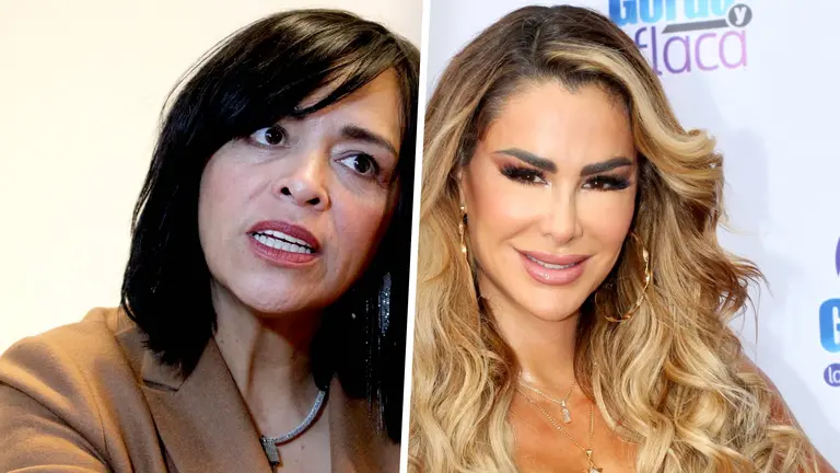 Abogado de Ninel Conde habla de los "delitos" que Anabel Hernández ...