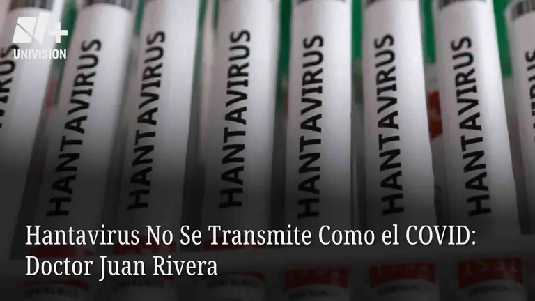 Hantavirus No Se Transmite Como el COVID: Doctor Juan Rivera | Shows ...