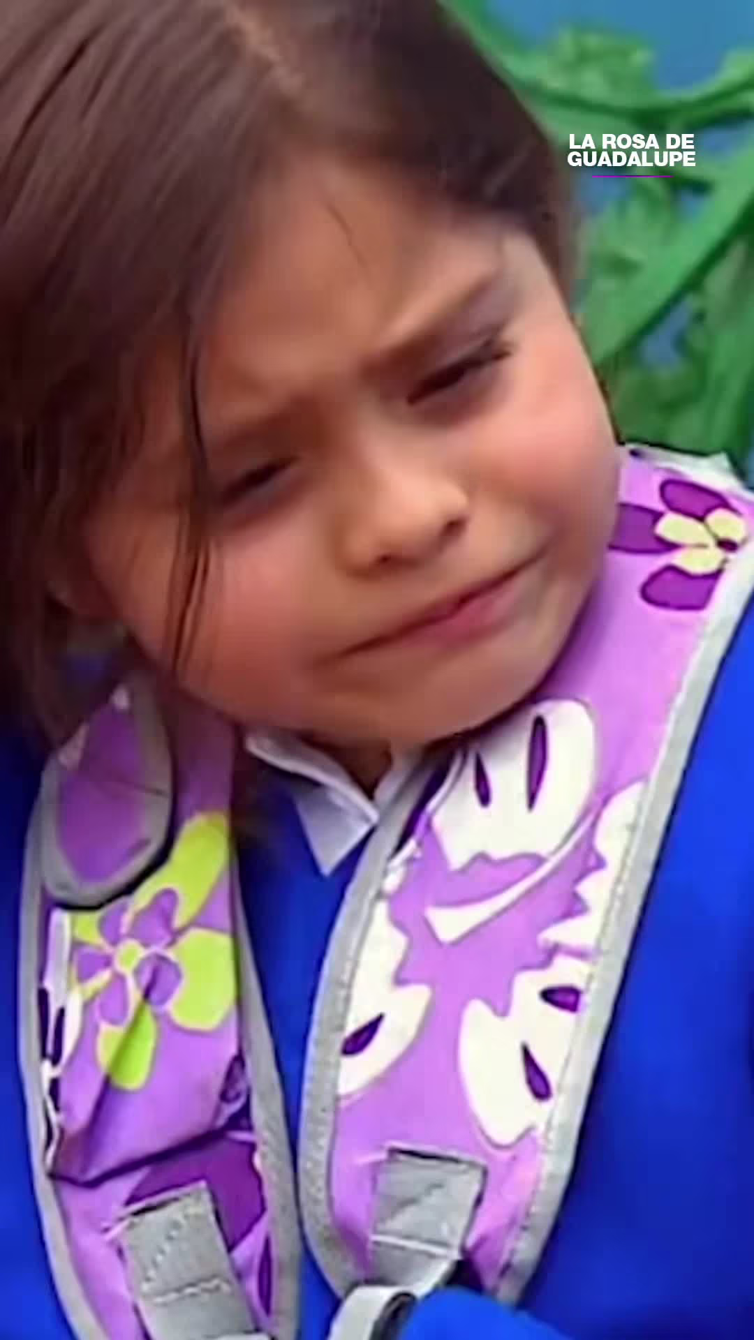 Chelita me jaló mi pelo | Series La Rosa de Guadalupe | Univision
