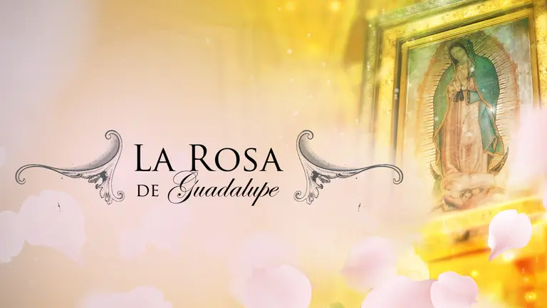 La Rosa de Guadalupe - Serie | UVideos | Univision
