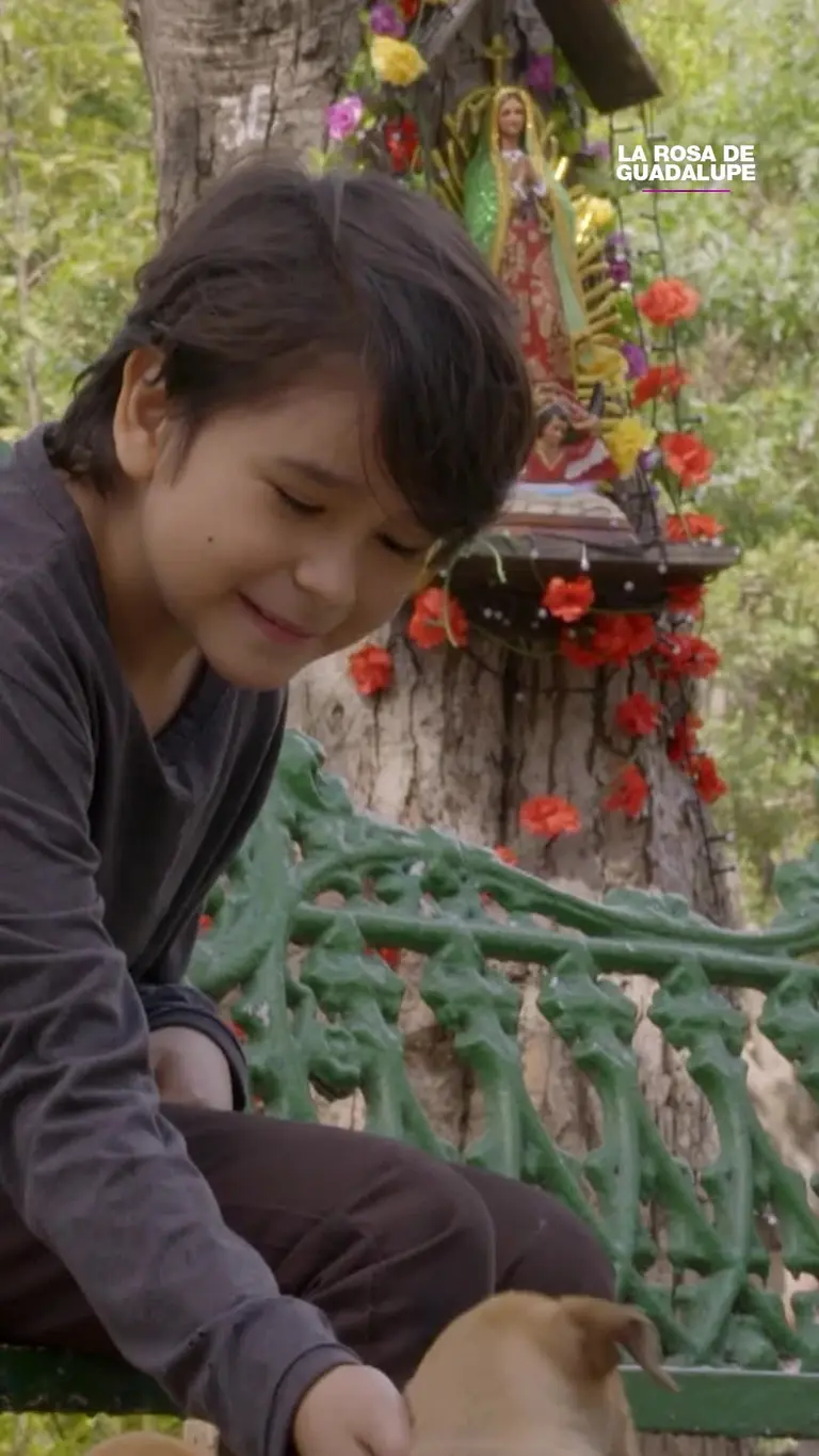 Juan Diego sabe que el amor de un perrito puede cambiar vidas | Series ...