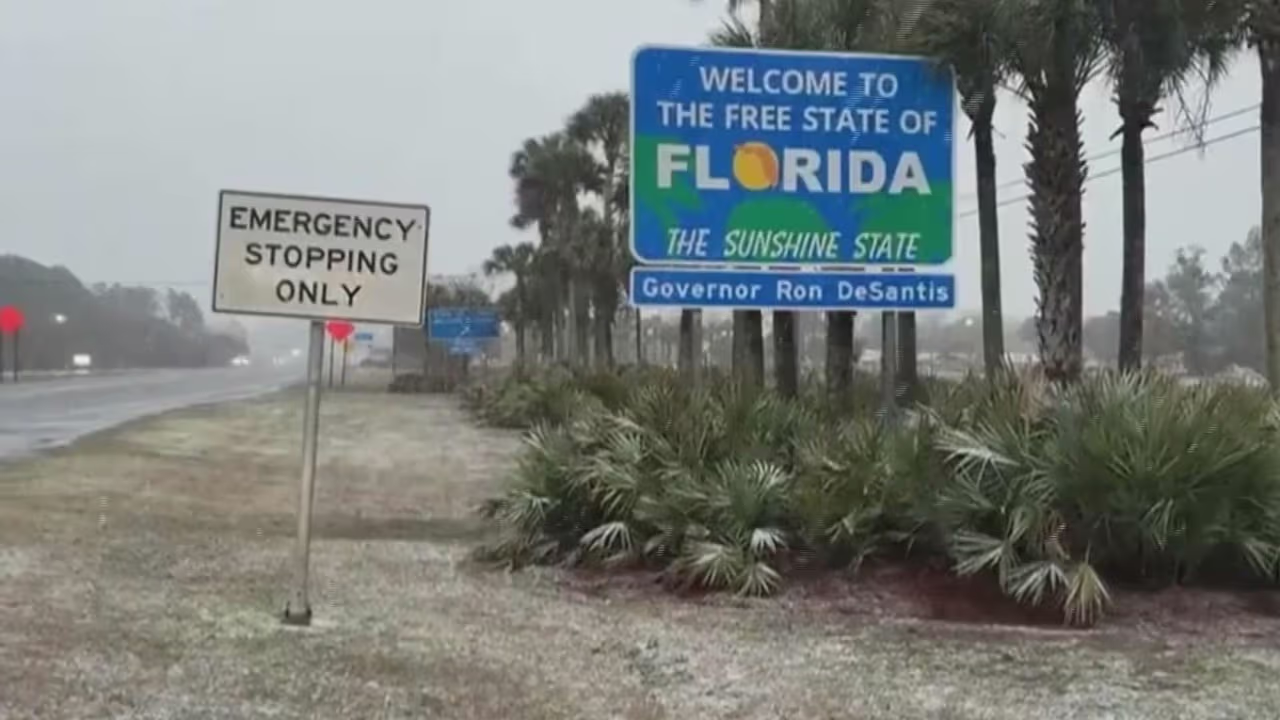 Florida bajo cero: Nieve en el norte e iguanas congeladas por ola de ...