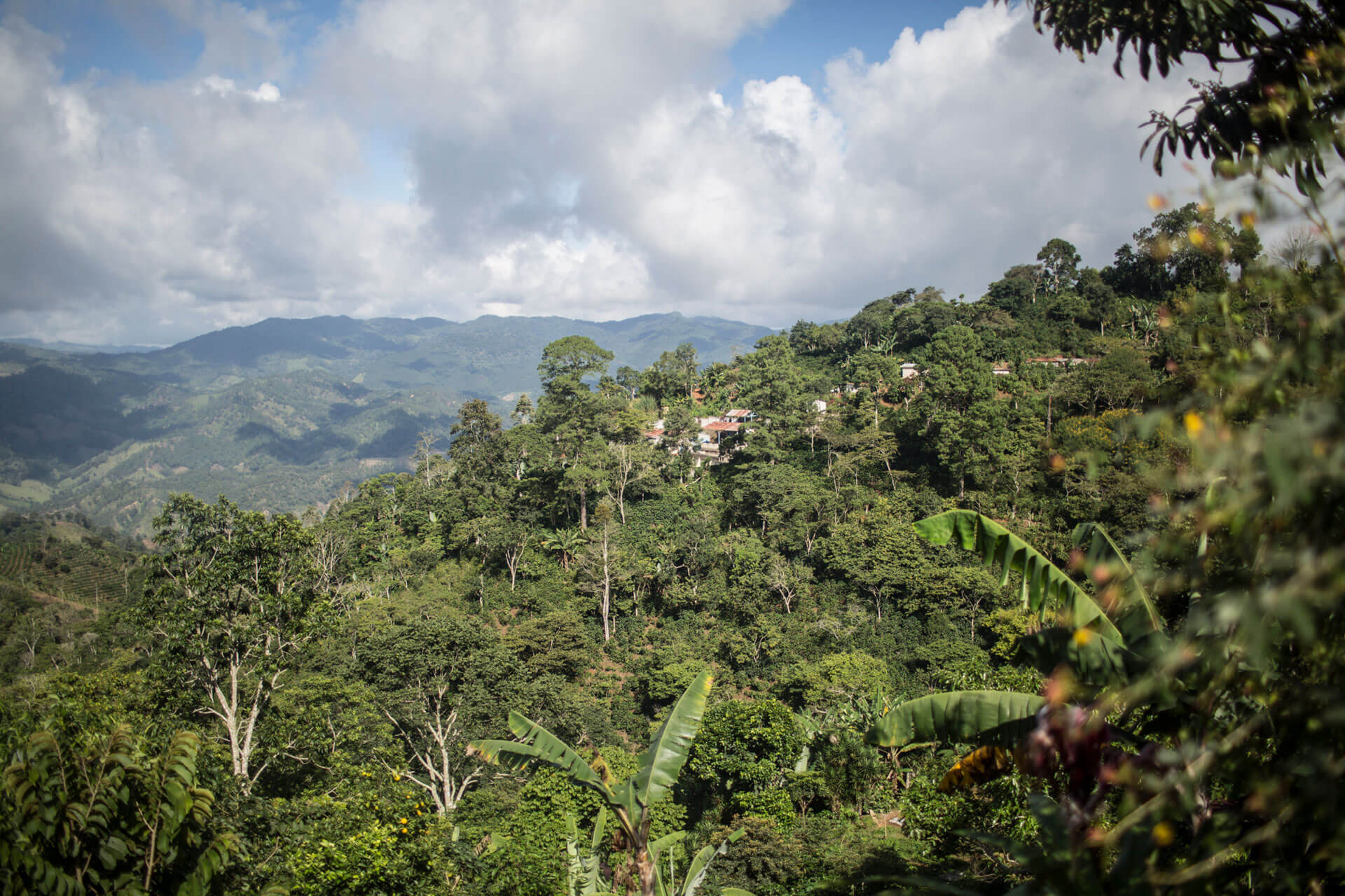 The great Guatemalan migration industry - Univision