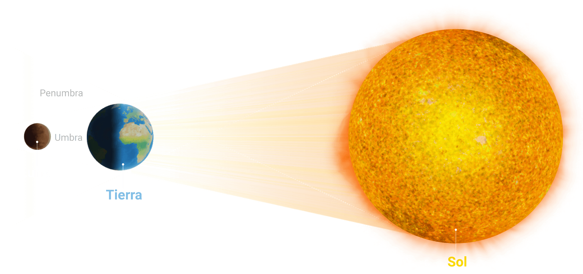 Eclipse lunar total de marzo 2025: Escribe tu zip code y descubre a qué ...